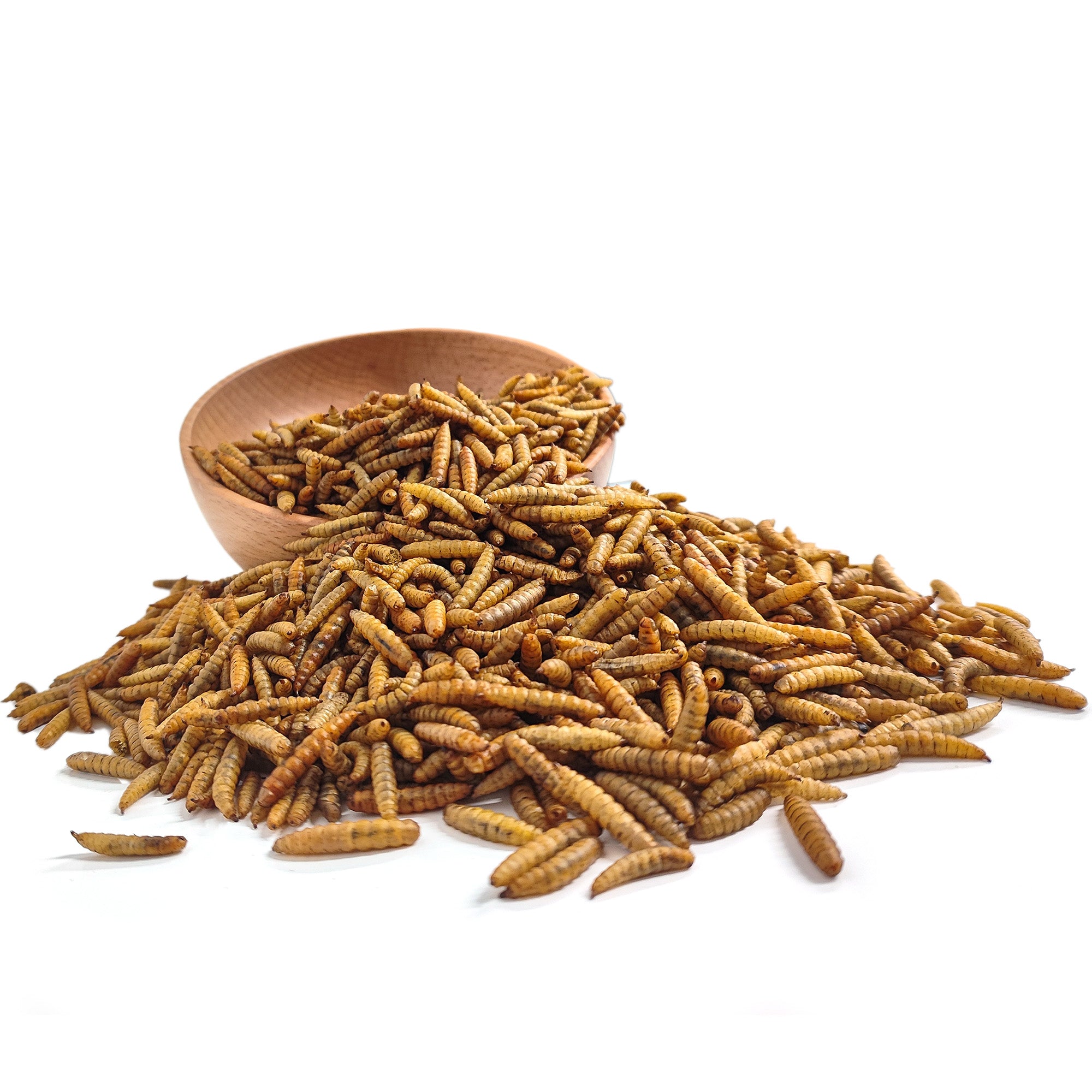 Dried Black Soldier Fly Larvae – HARTOMPET® | Designed Solutions for ...
